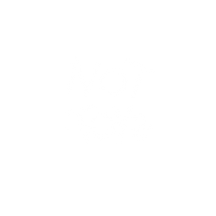 Not Toys Fashion